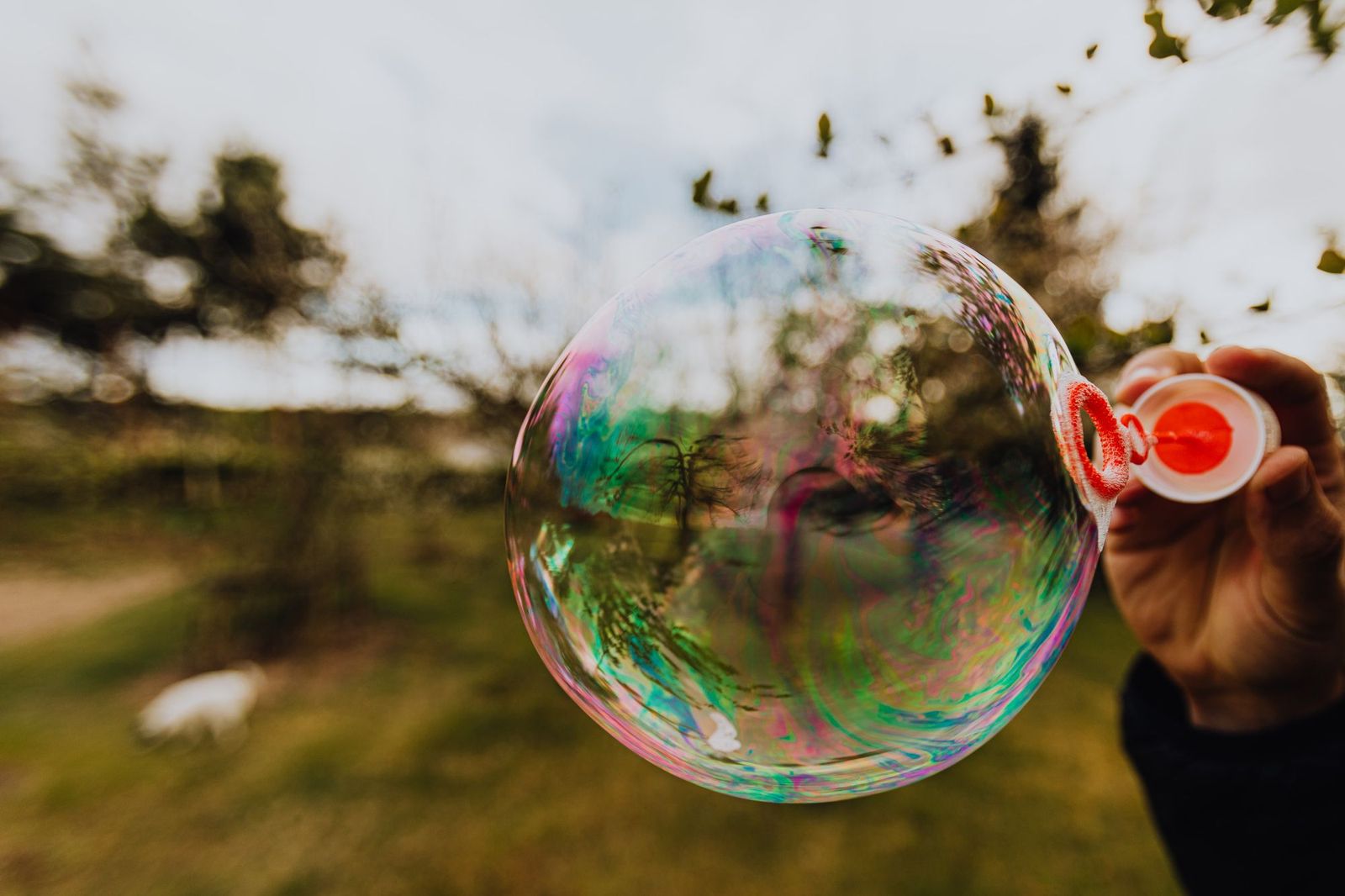 Crypto Bubbles: What They Are & How to Spot One